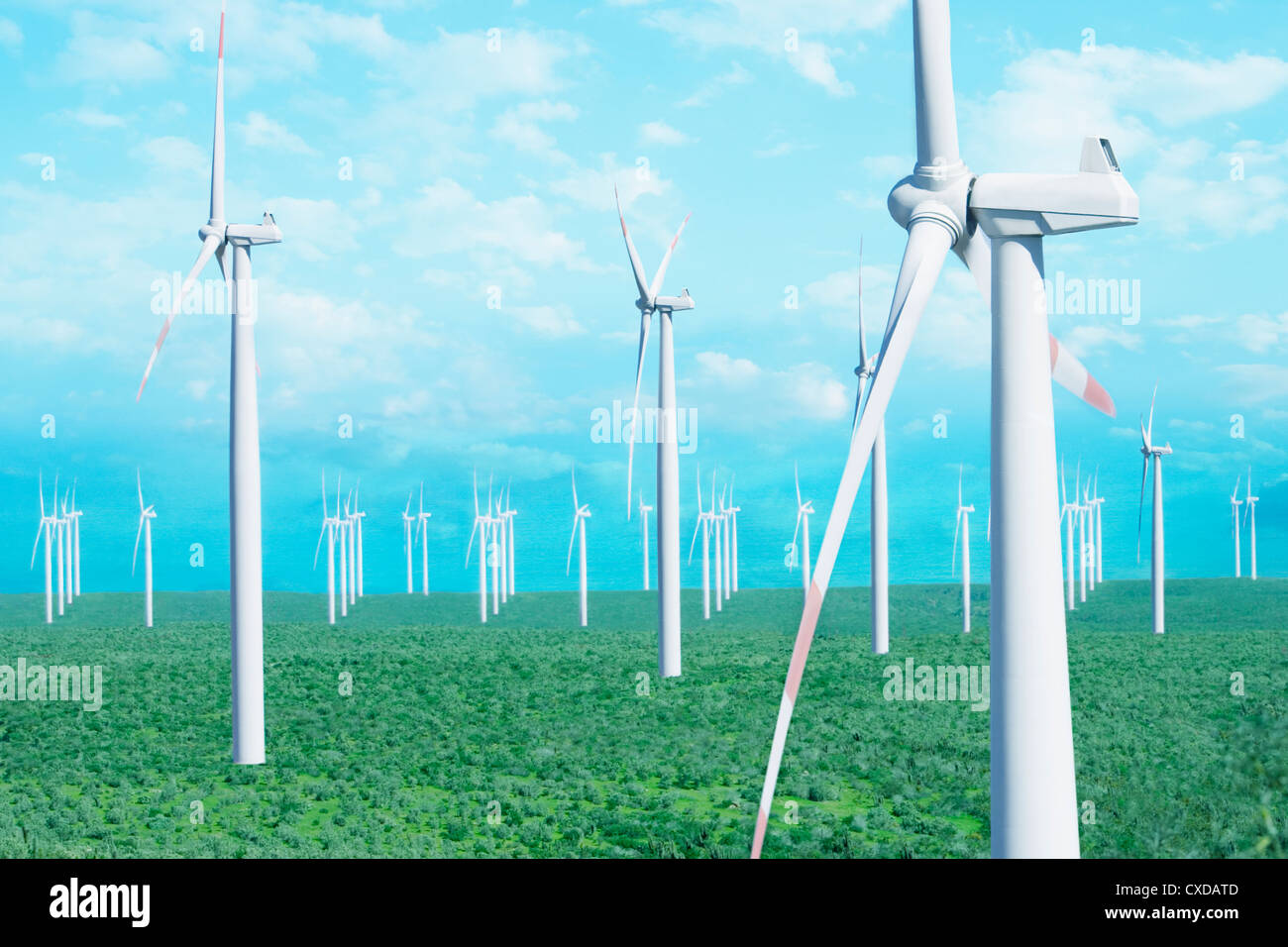 Wind farm in field Stock Photo - Alamy
