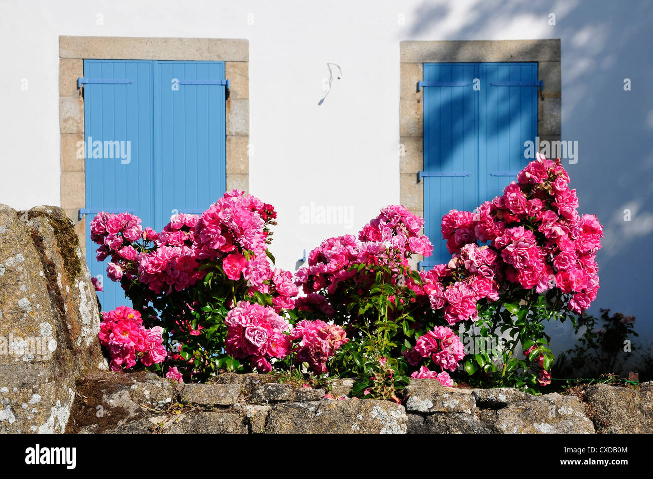 Shutter leaf hi-res stock photography and images - Alamy