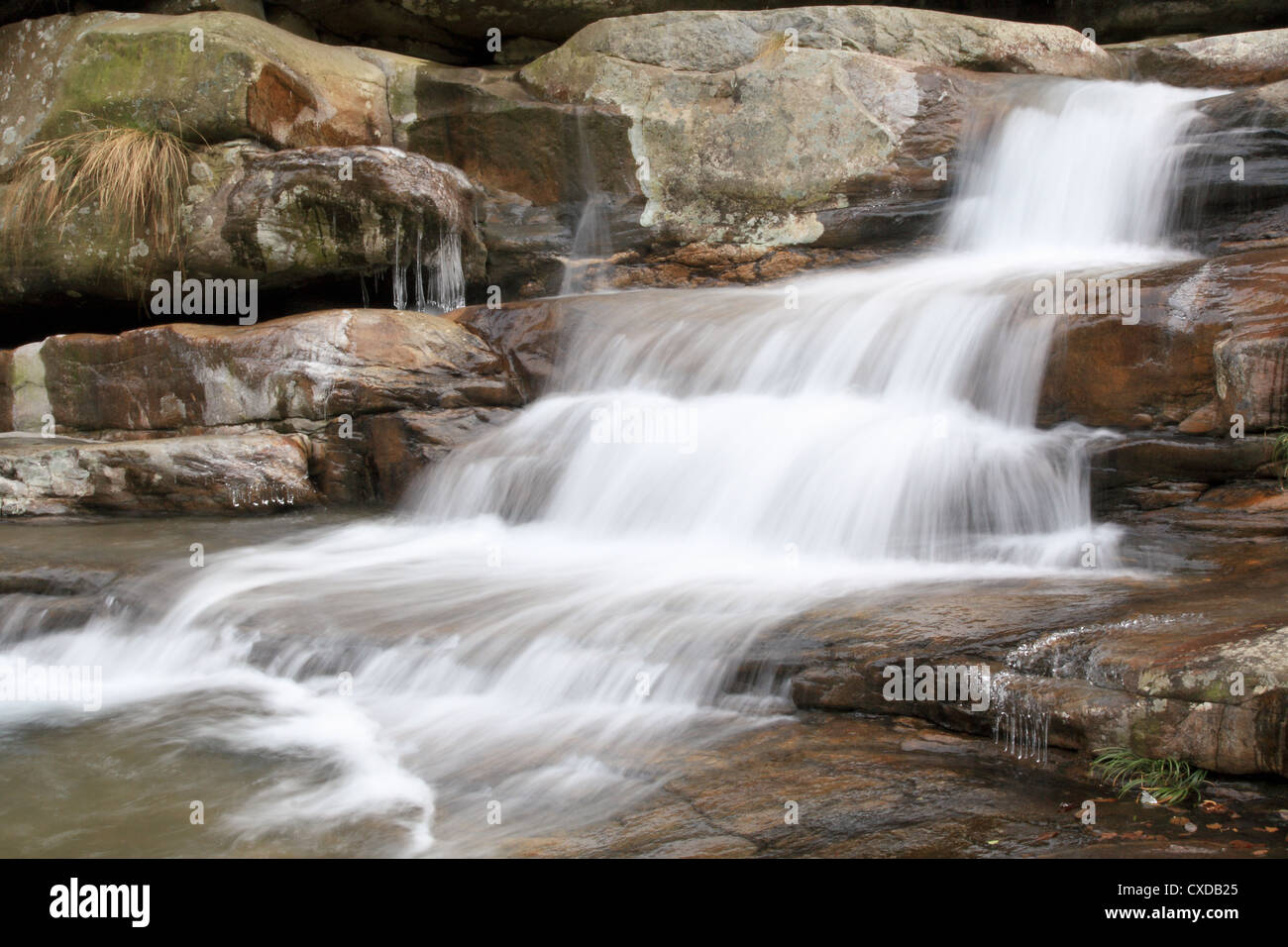 Brook hi-res stock photography and images - Alamy