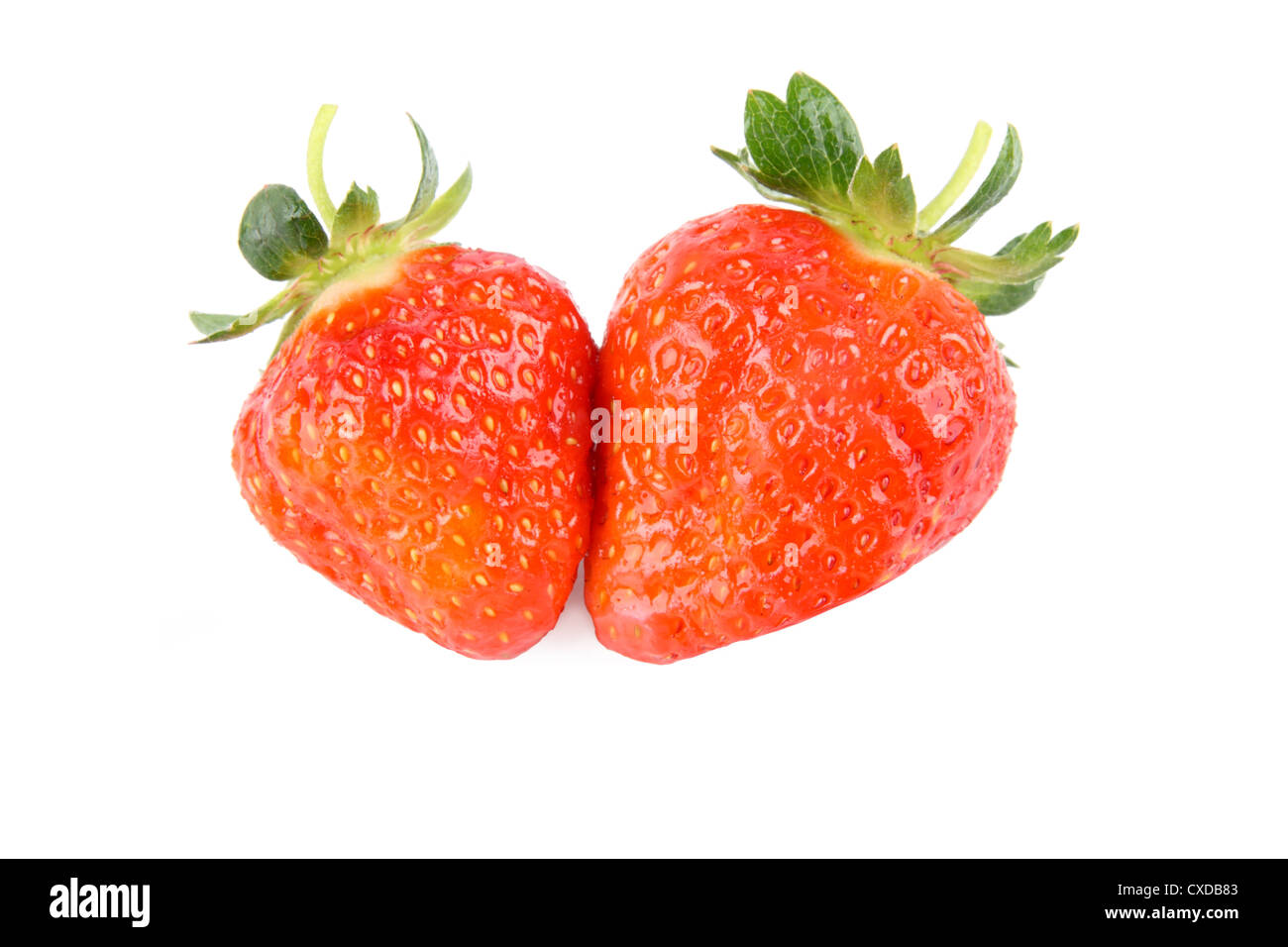 Season two Cut Out Stock Images & Pictures - Alamy