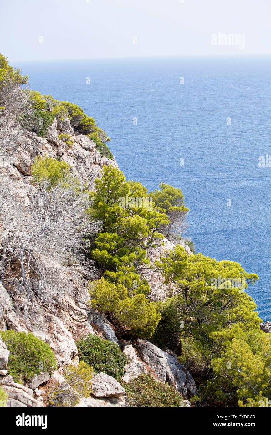 beautiful riffs rock stone sea ocean in summer vacation tropical Stock ...