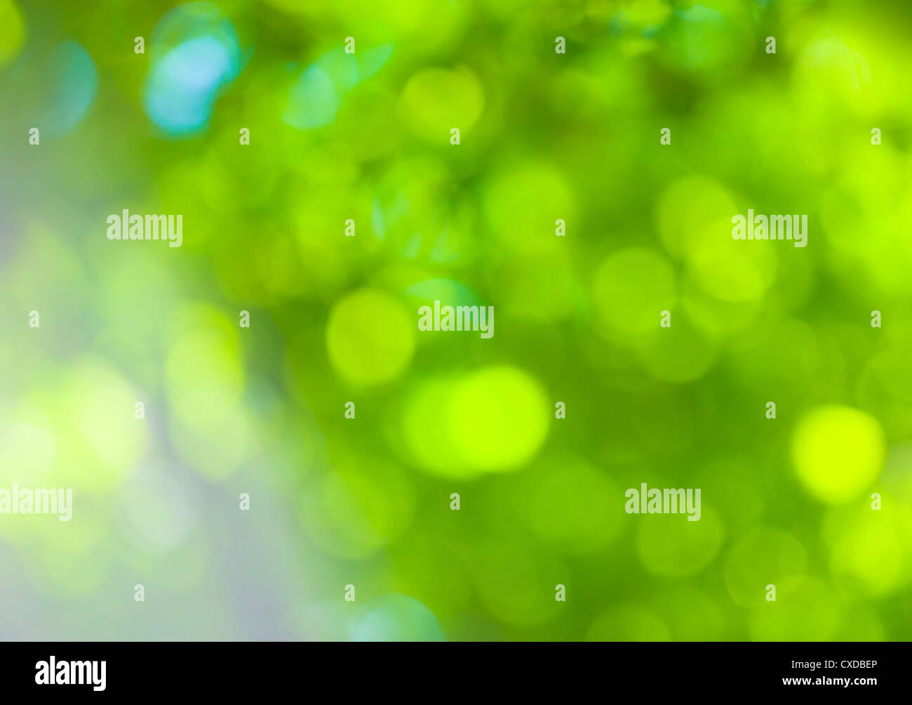 Lighting perfect hi-res stock photography and images - Alamy