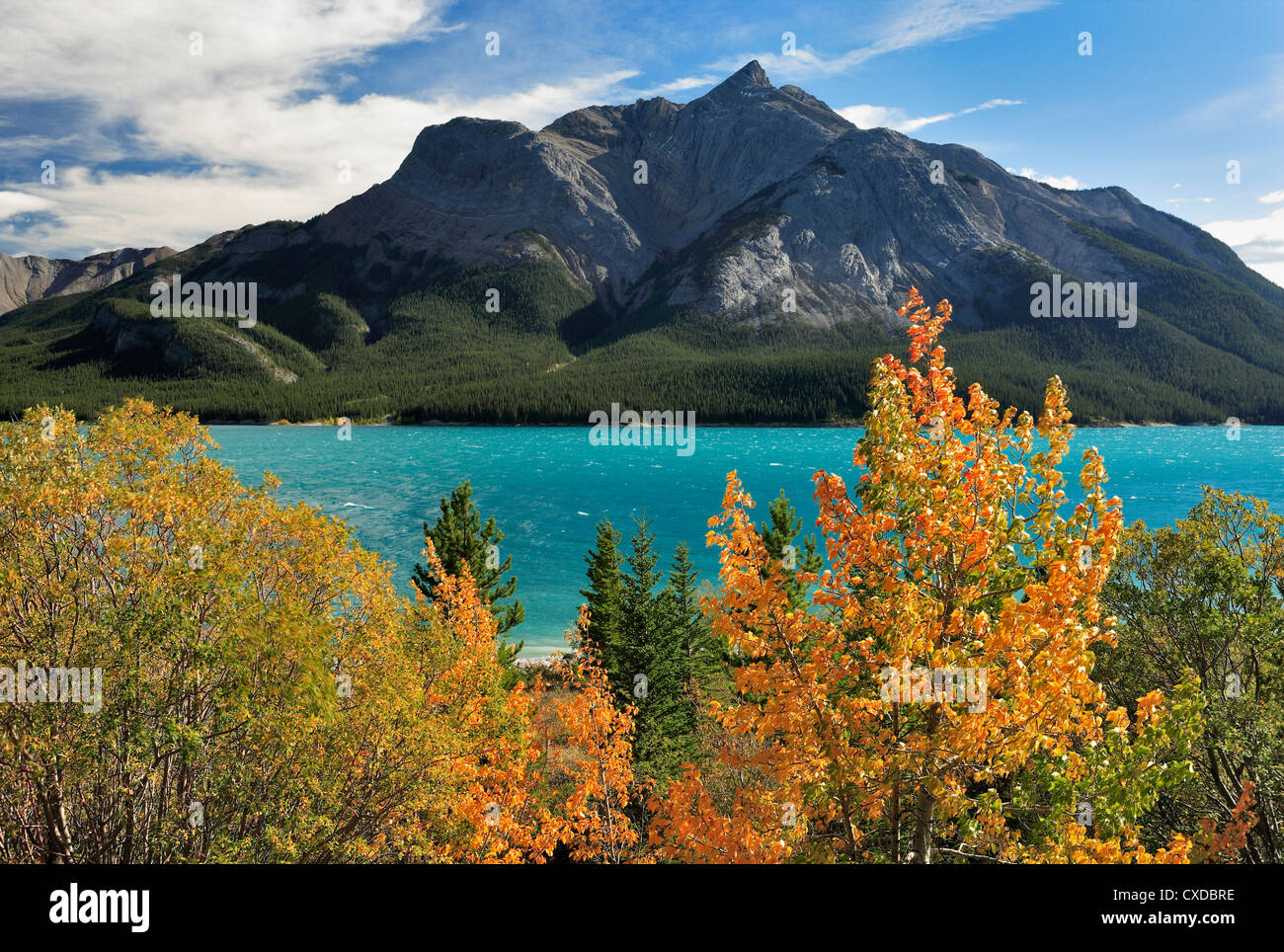 Abraham lake hi-res stock photography and images - Alamy