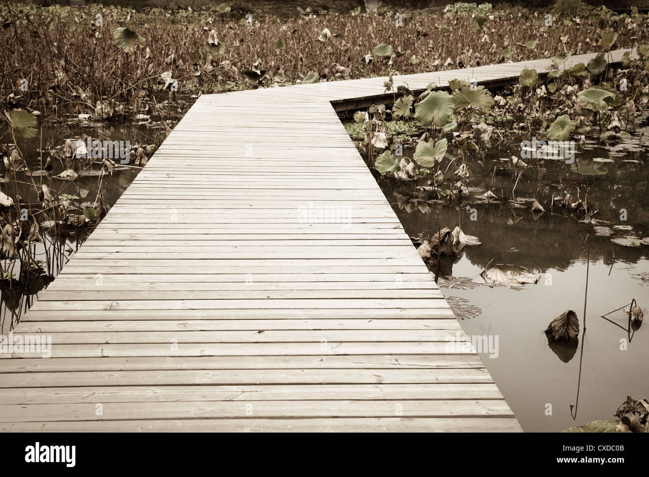 Use footbridge hi-res stock photography and images - Alamy