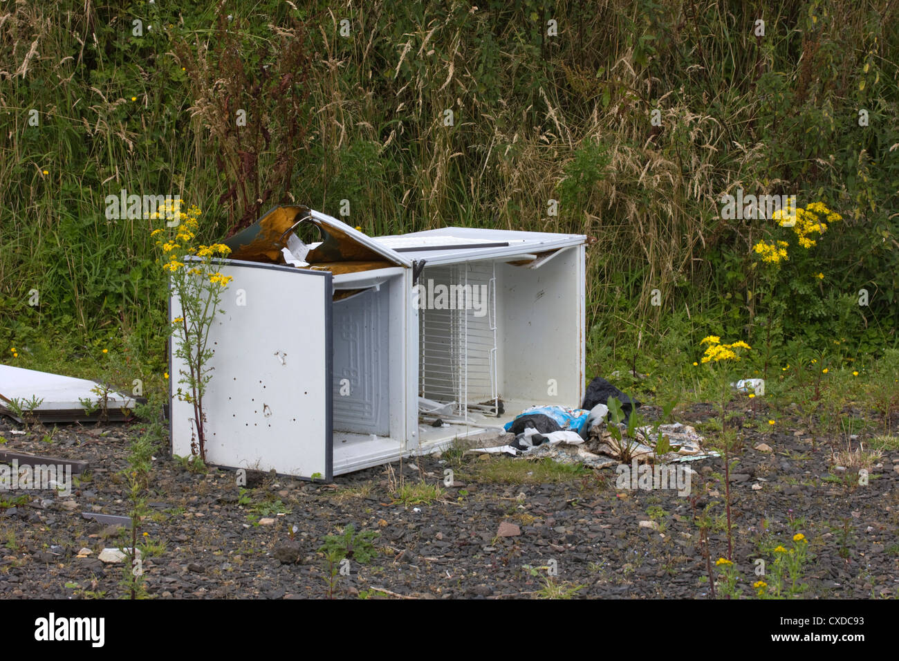 Dumped refrigerator hi-res stock photography and images - Alamy