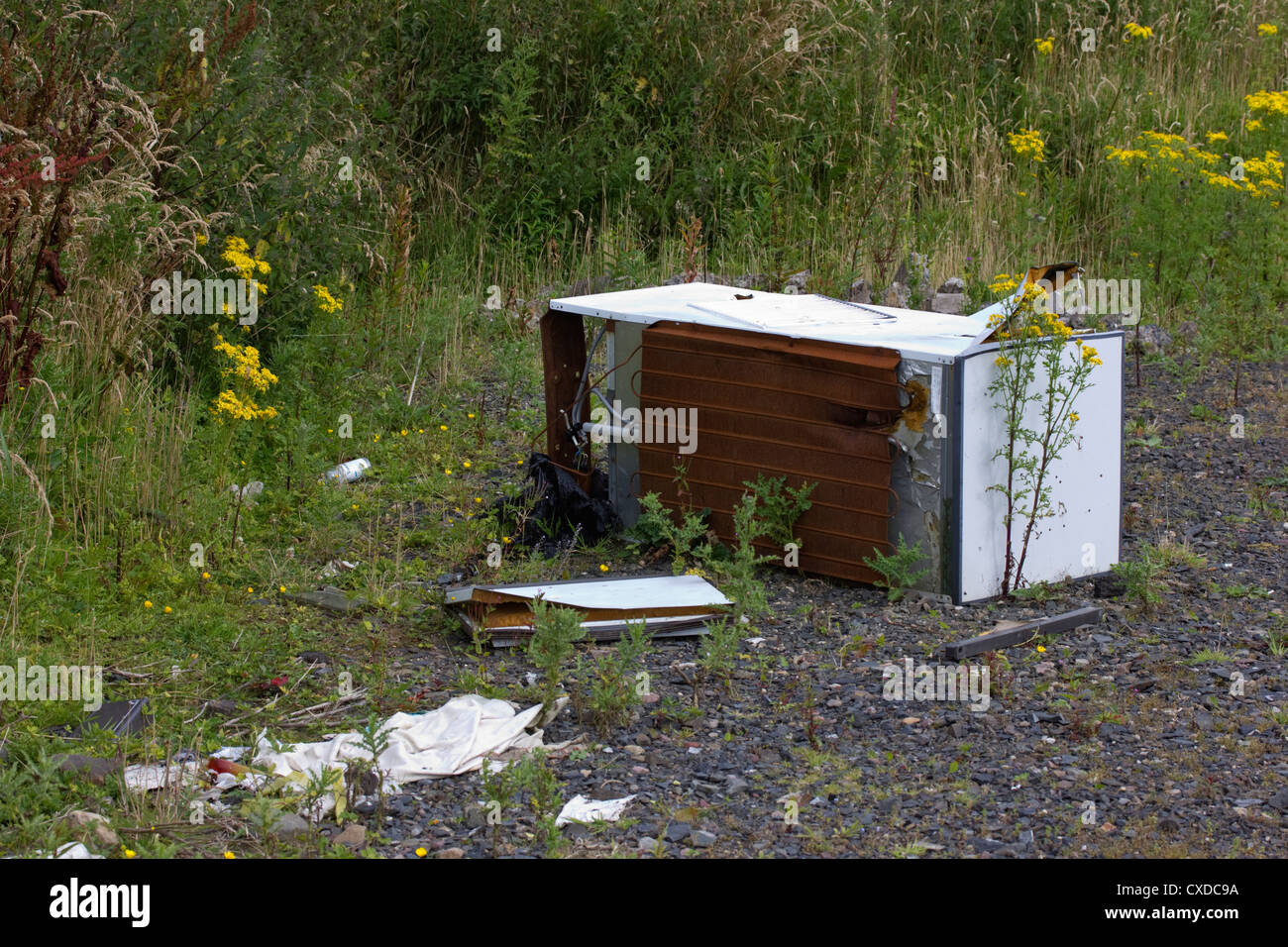 Dumped refrigerator hi-res stock photography and images - Alamy