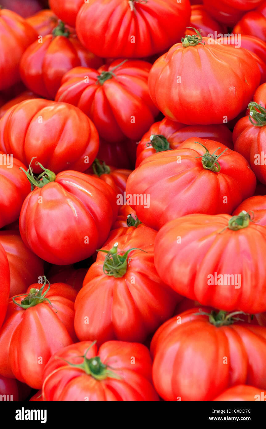 Cluster tomatoes bunch plant hi-res stock photography and images - Alamy