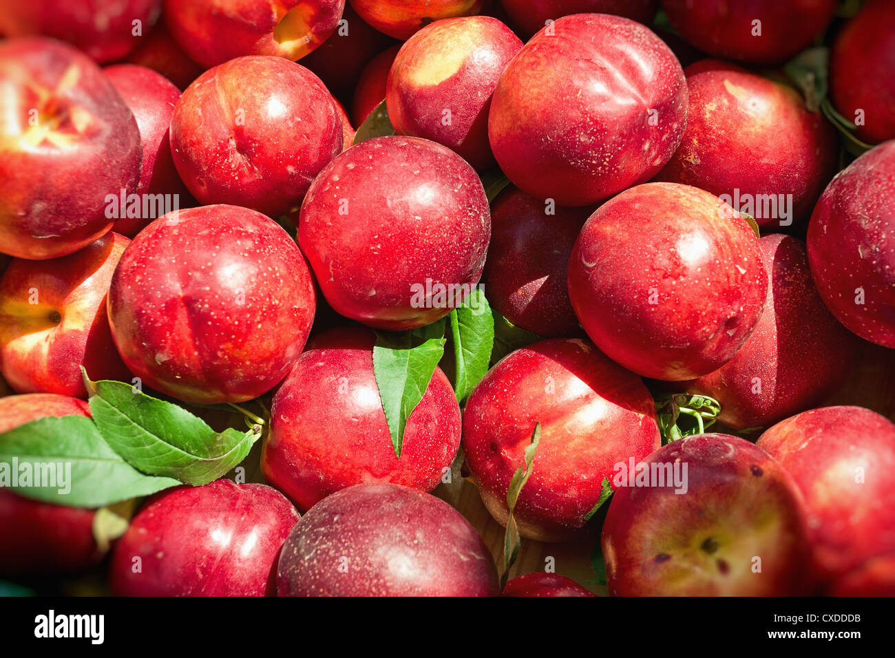 Smooth textured fruit hi-res stock photography and images - Alamy