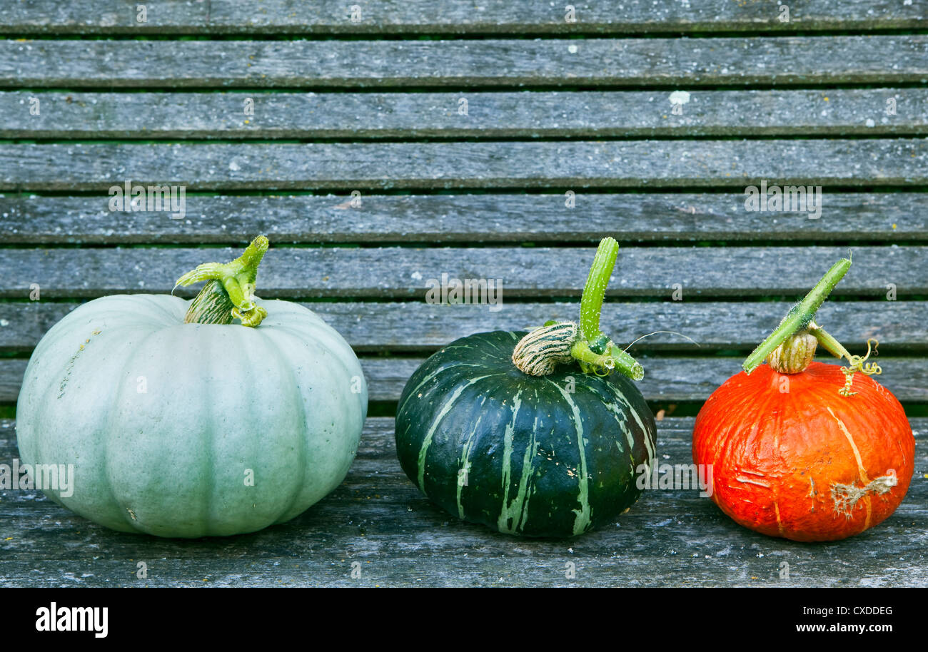 Three different varieties of vegetable squash displayed on a bench for ...