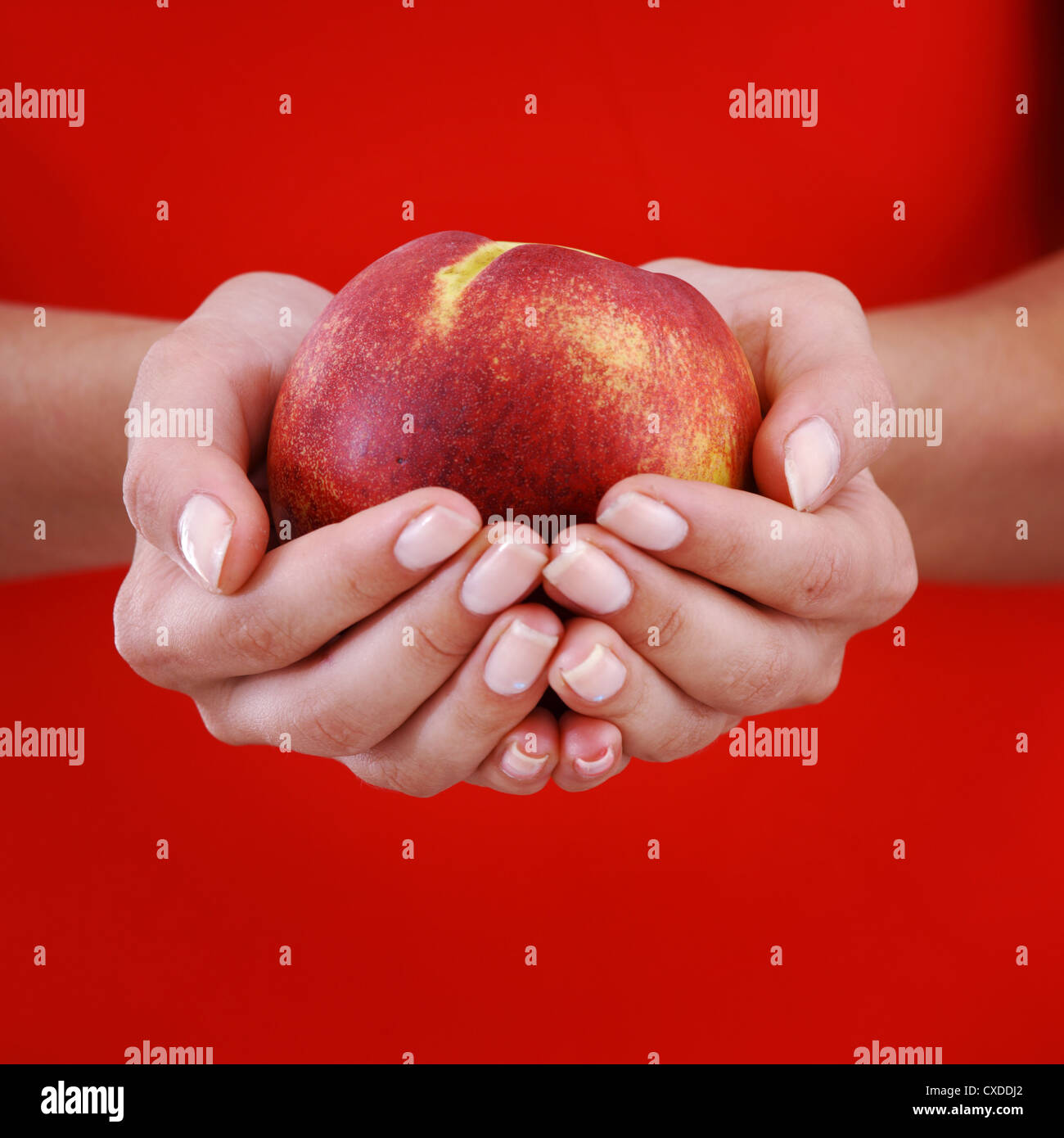 peach in woman hands close up Stock Photo - Alamy