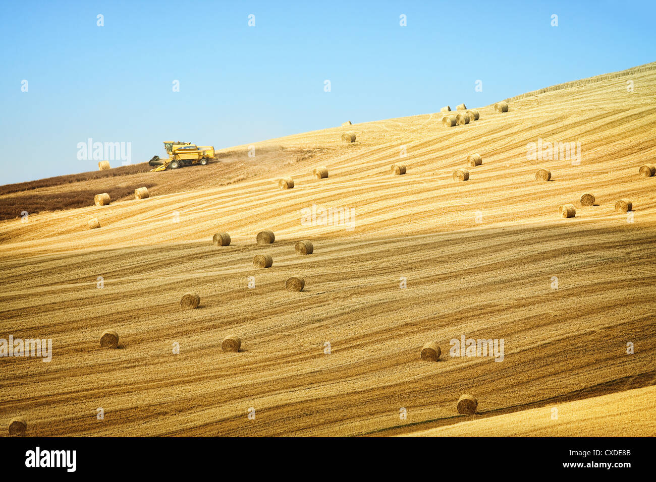 Golden hay bales hi-res stock photography and images - Alamy