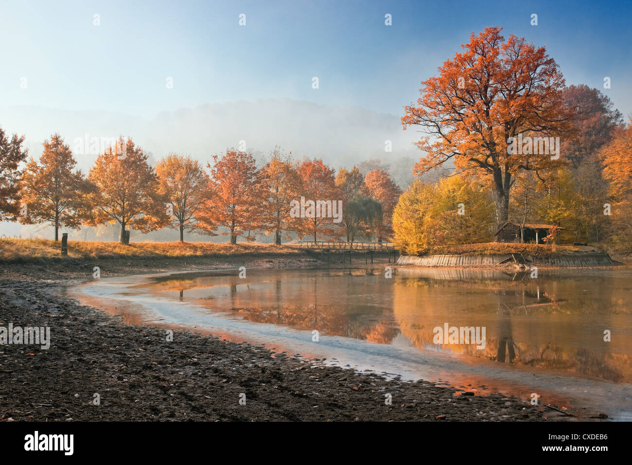 Atumn tree hi-res stock photography and images - Alamy