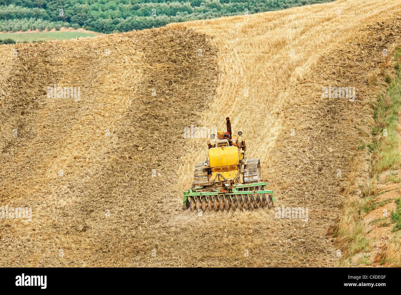 Farming with tractor and plow in field Stock Photo - Alamy