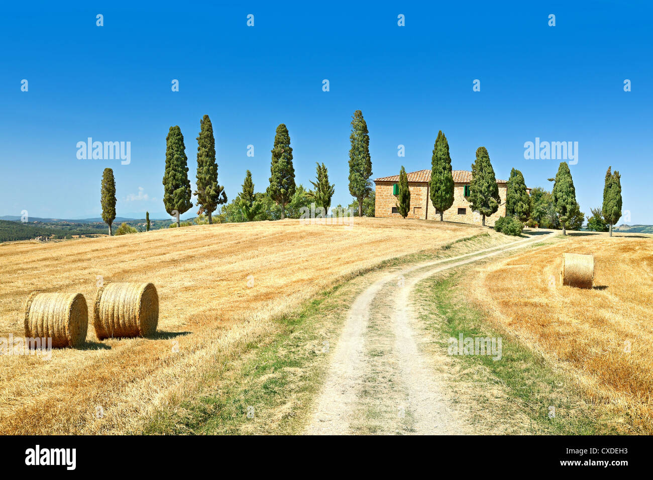 Tuscany summer landscape Stock Photo - Alamy