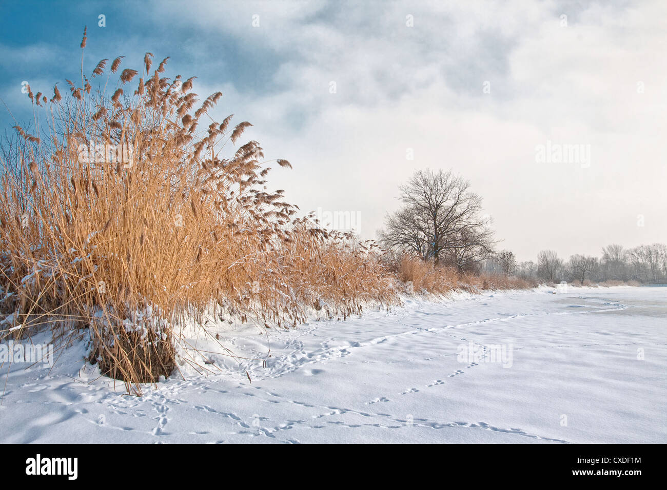Sad landscape hi-res stock photography and images - Alamy