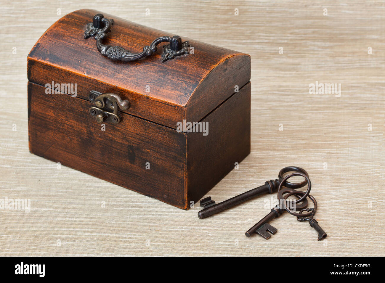 Trunk hi-res stock photography and images - Alamy