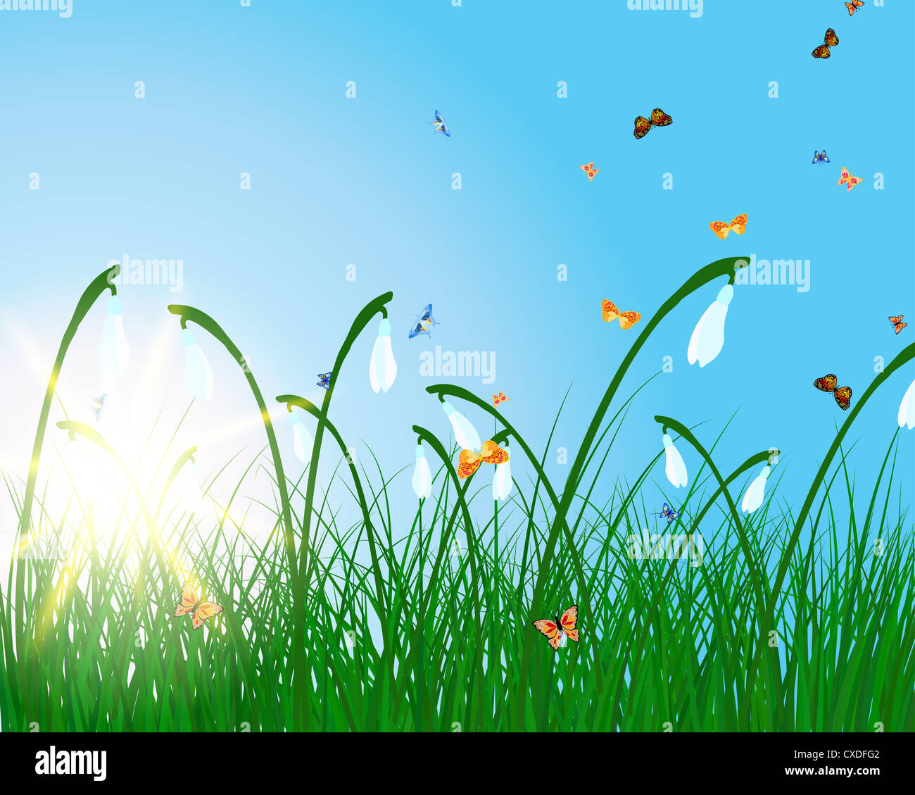 Meadow color background with butterfly and sun. All objects are ...