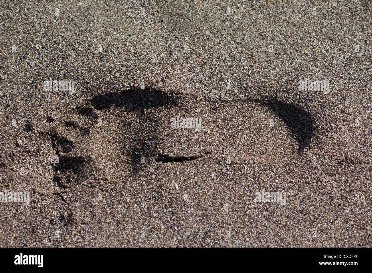 Footstep Trail High Resolution Stock Photography and Images - Alamy