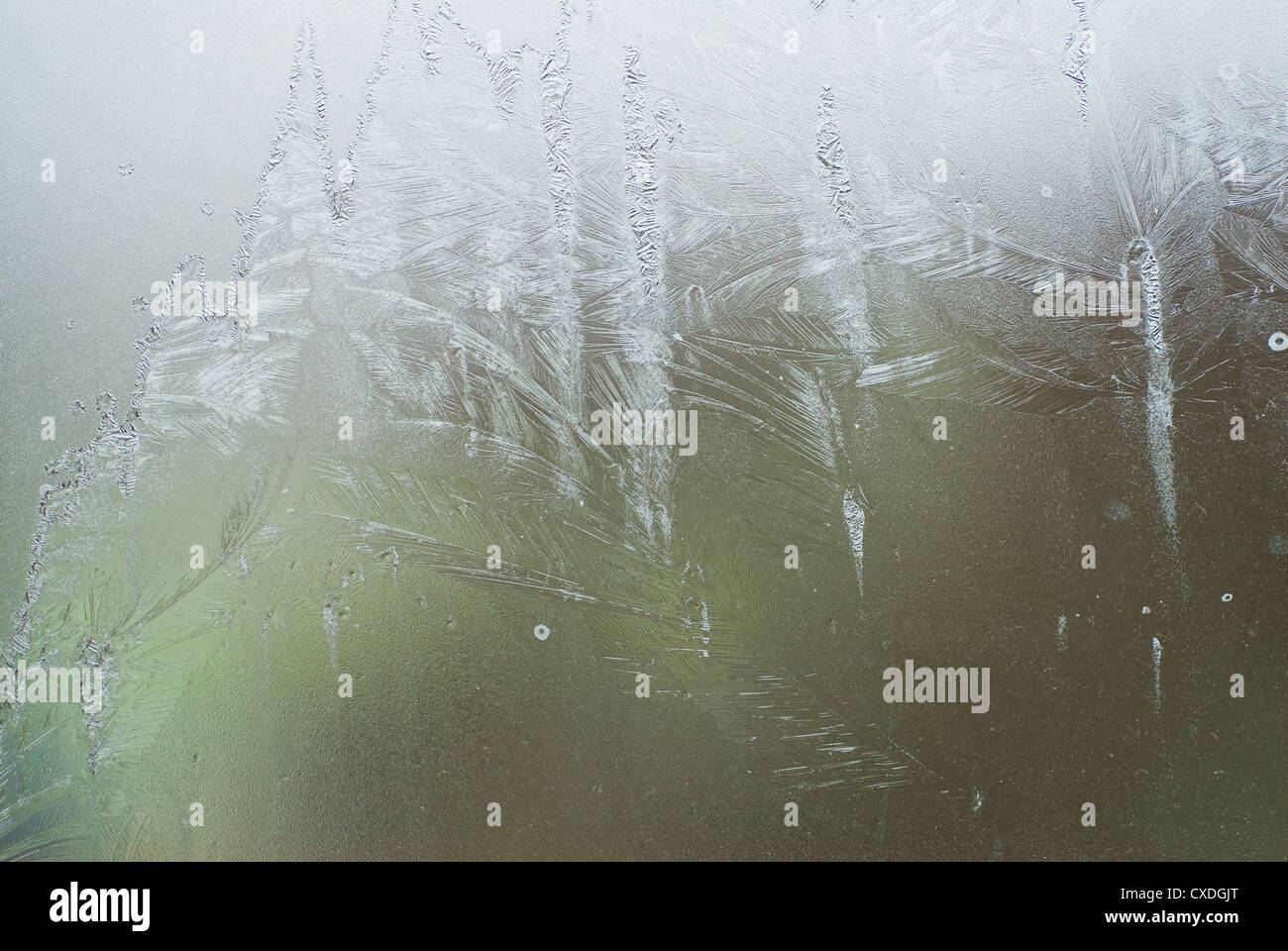ice on a window Stock Photo - Alamy