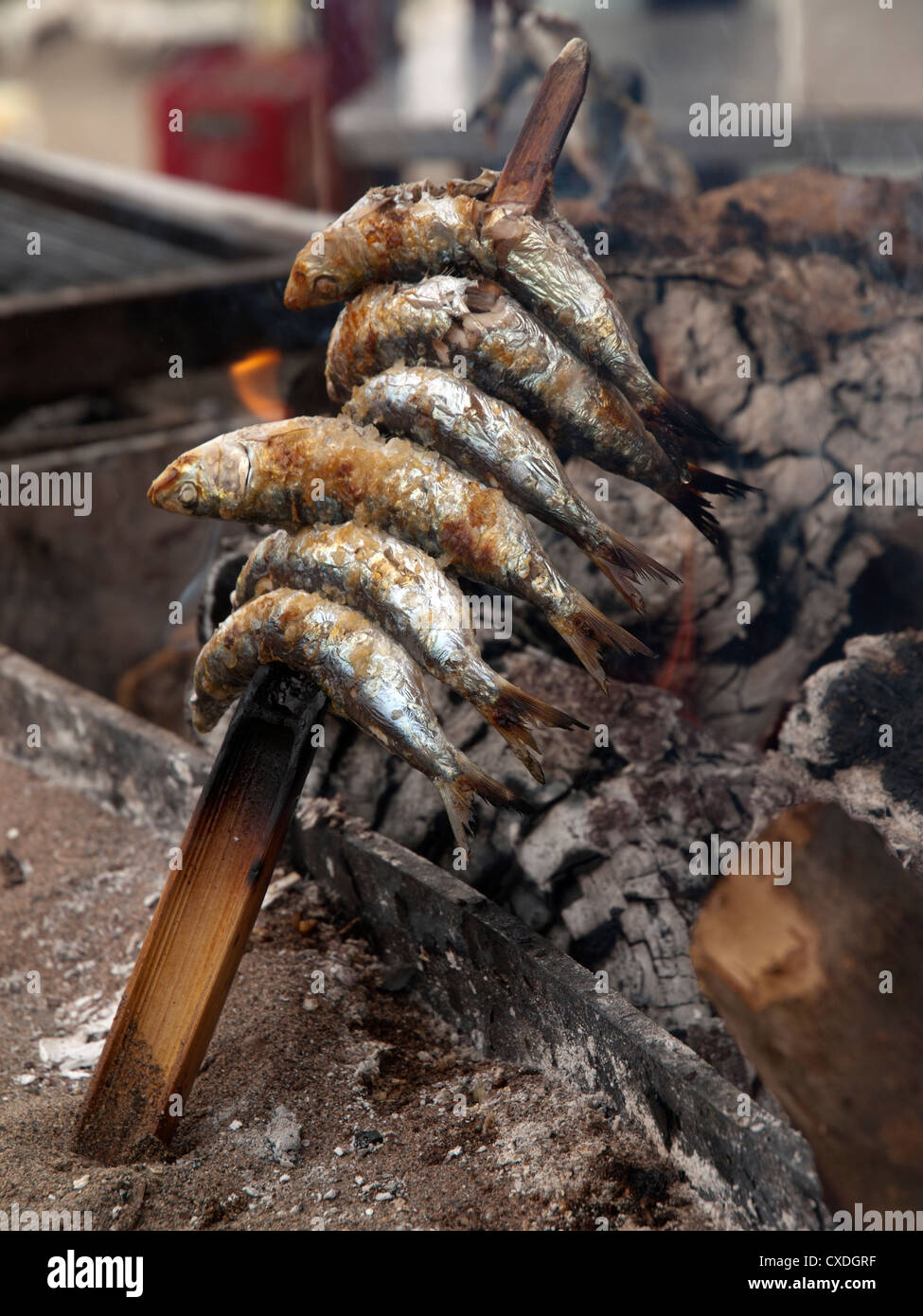 Sardines being cooked on a wood fire,on a beach in Southern Spain Stock ...