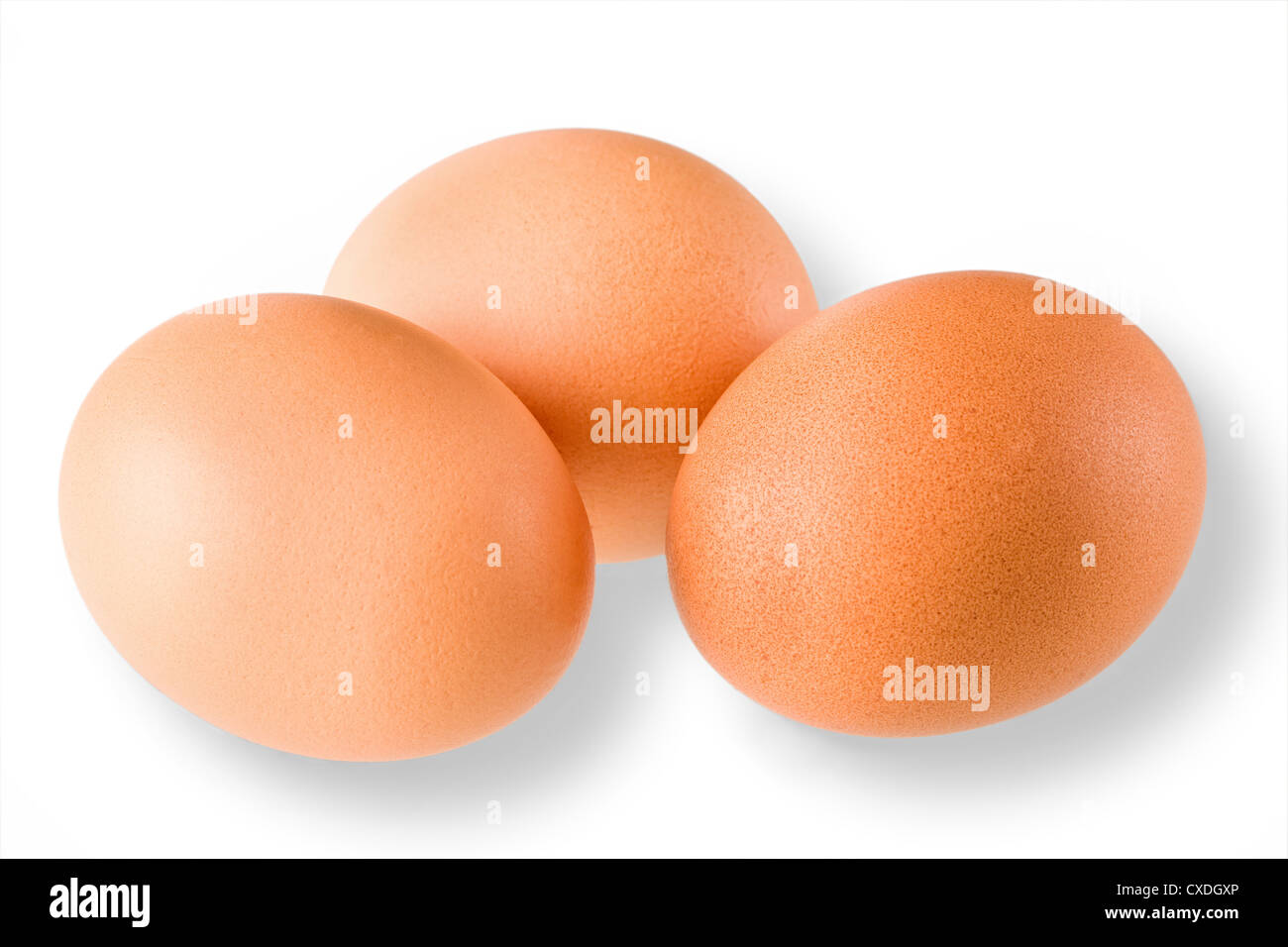 Three shells of eggs hi-res stock photography and images - Alamy