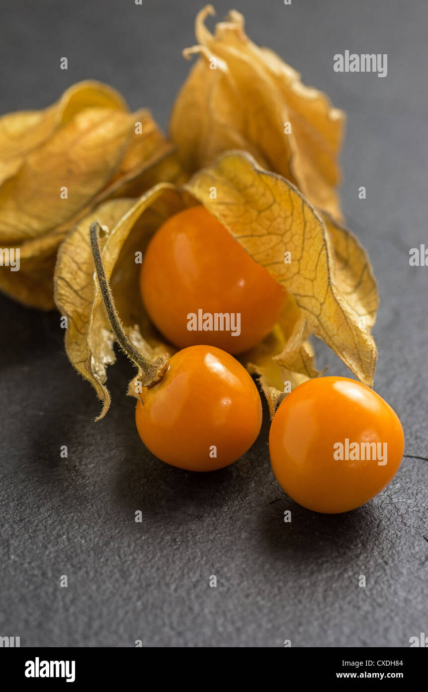 Physalis fruit and husk hi-res stock photography and images - Alamy