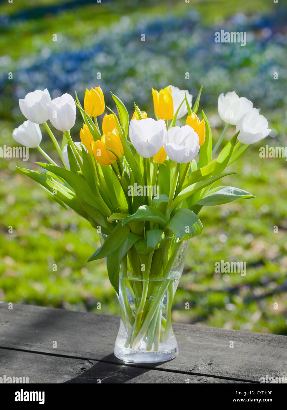 Classic spring flowers hi-res stock photography and images - Alamy