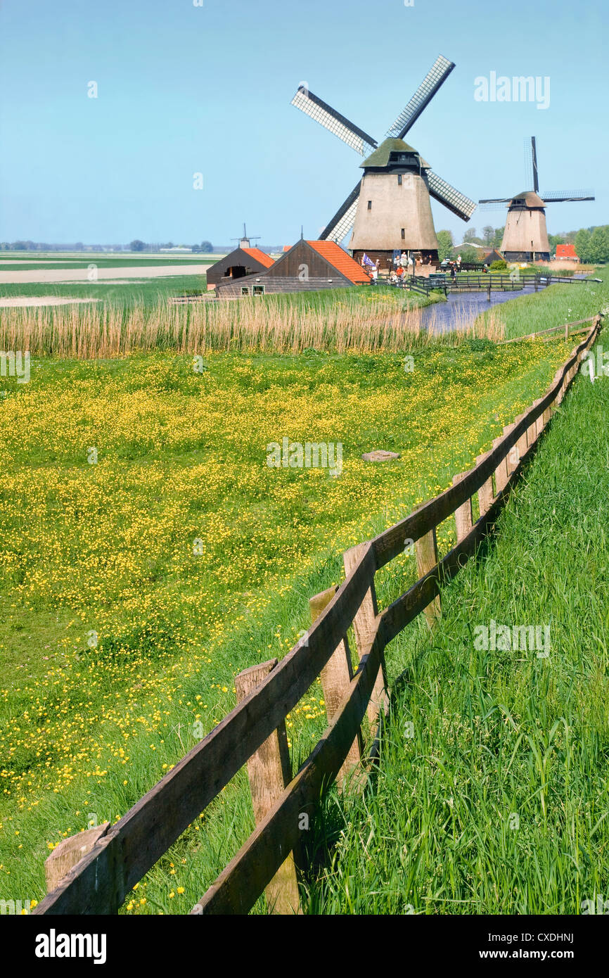 Two dutch mill Stock Photo - Alamy