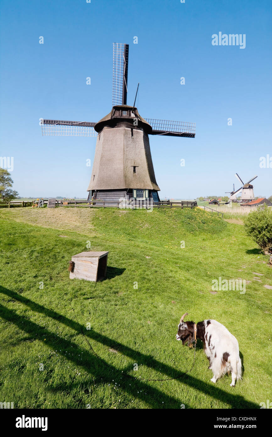Dutch mill hi-res stock photography and images - Alamy