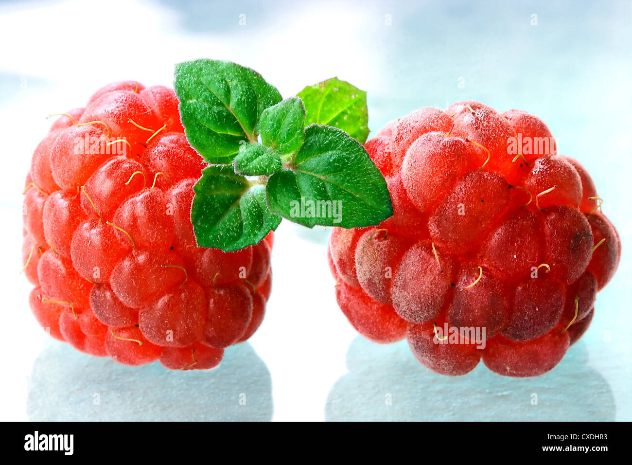 Ripe raspberry with green leaf Stock Photo - Alamy
