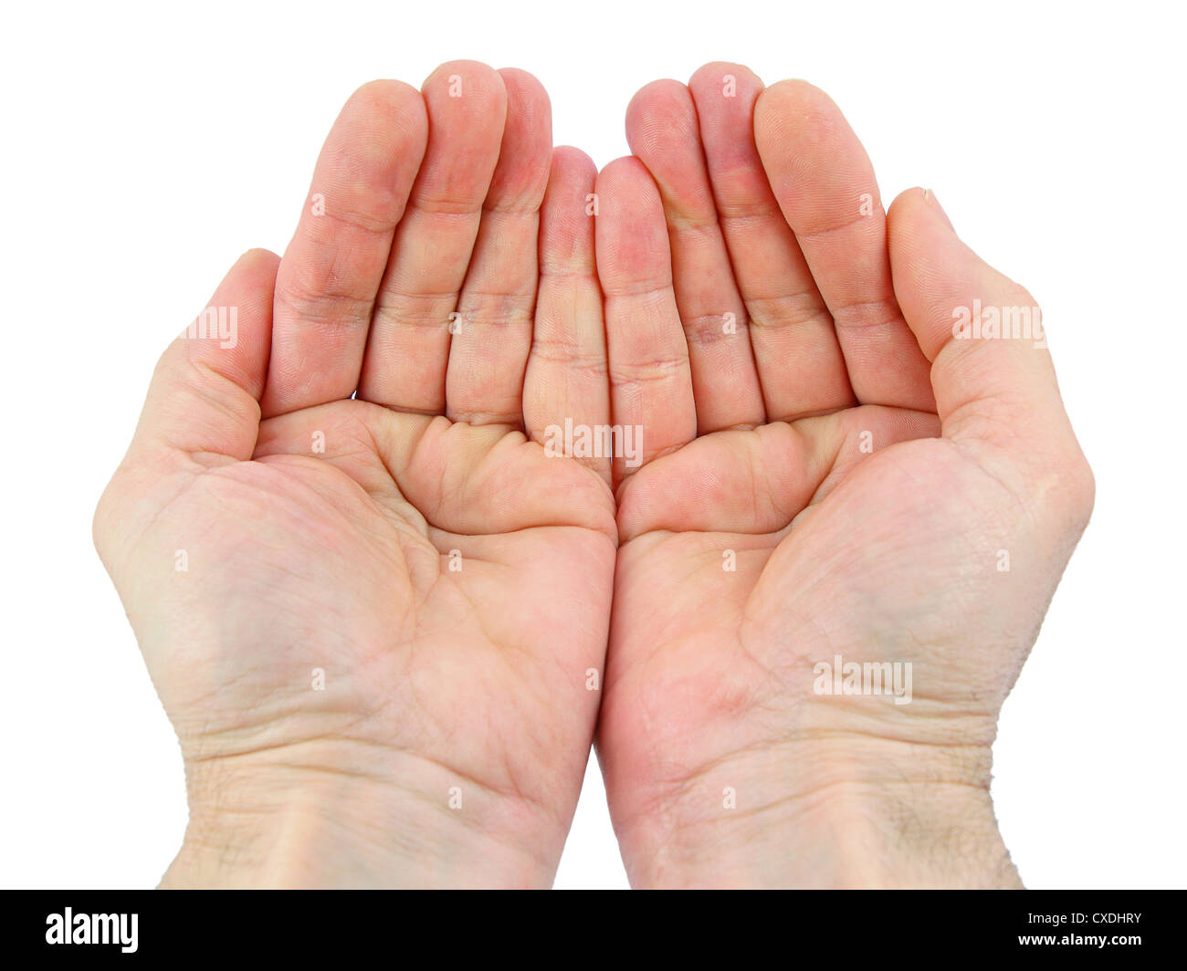 Hands isolated on white background Stock Photo - Alamy