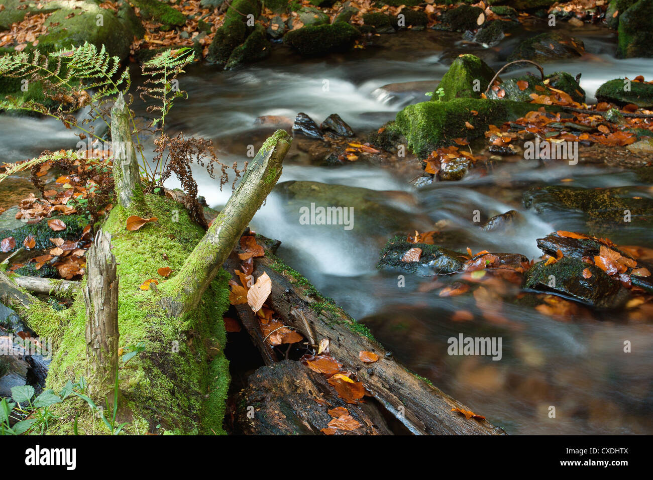 Autumn scene with cascading waterfall Stock Photo - Alamy