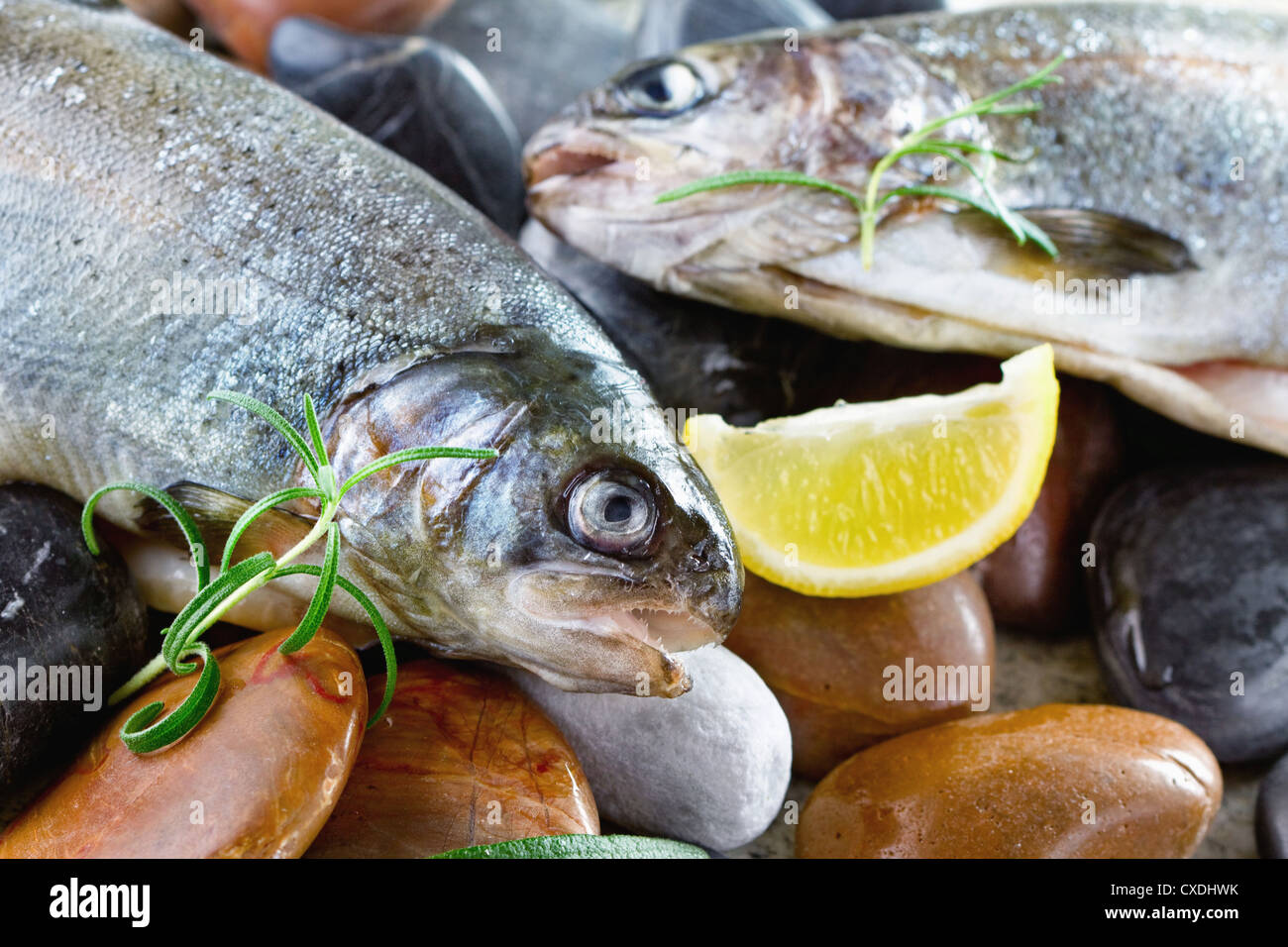 Raw trout prepared for cooking Stock Photo - Alamy