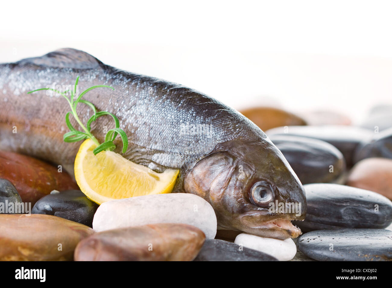 Raw trout prepared for cooking Stock Photo - Alamy