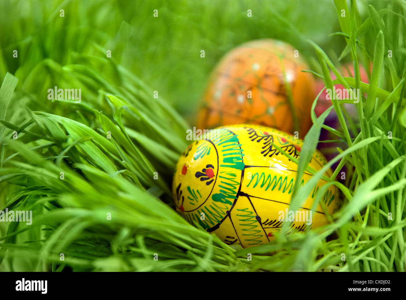 color easter eggs in nest from green grass Stock Photo - Alamy