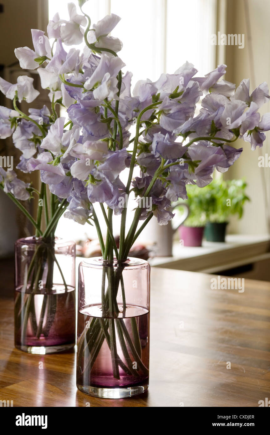 Emily todhunter designer hi-res stock photography and images - Alamy