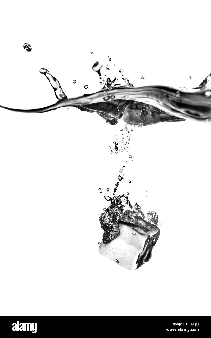 ice cube dropped into water with splash isolated on white Stock Photo ...
