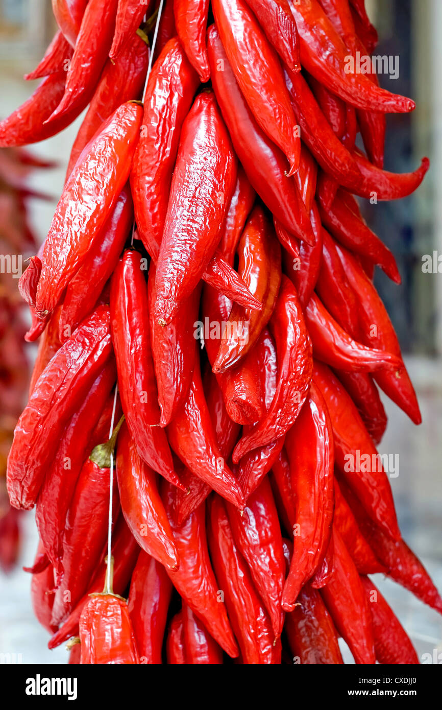 Many spicy red chillies Stock Photo - Alamy