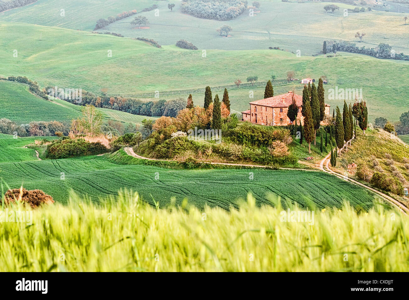 Tuscany landscape - belvedere Stock Photo - Alamy