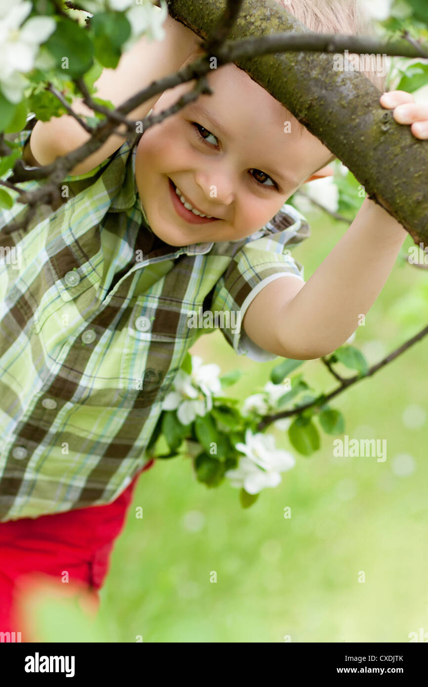 Happy child under tree branches Stock Photo - Alamy