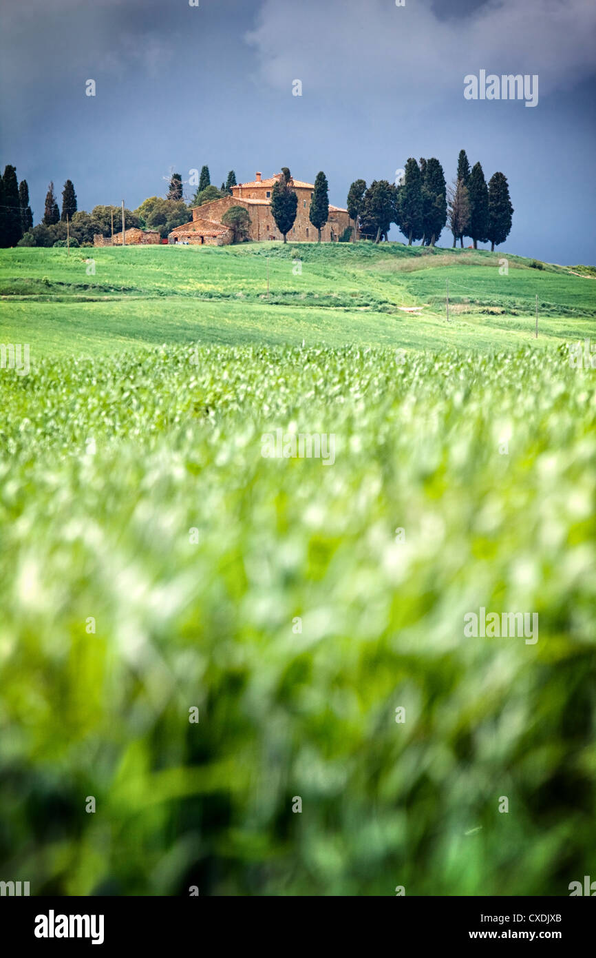 Tuscany landscape - belvedere Stock Photo - Alamy