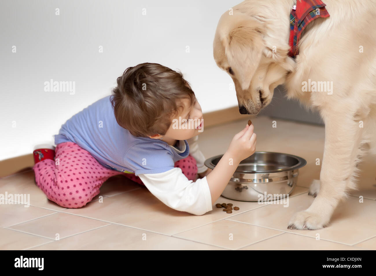 Child feeding pet hi-res stock photography and images - Alamy