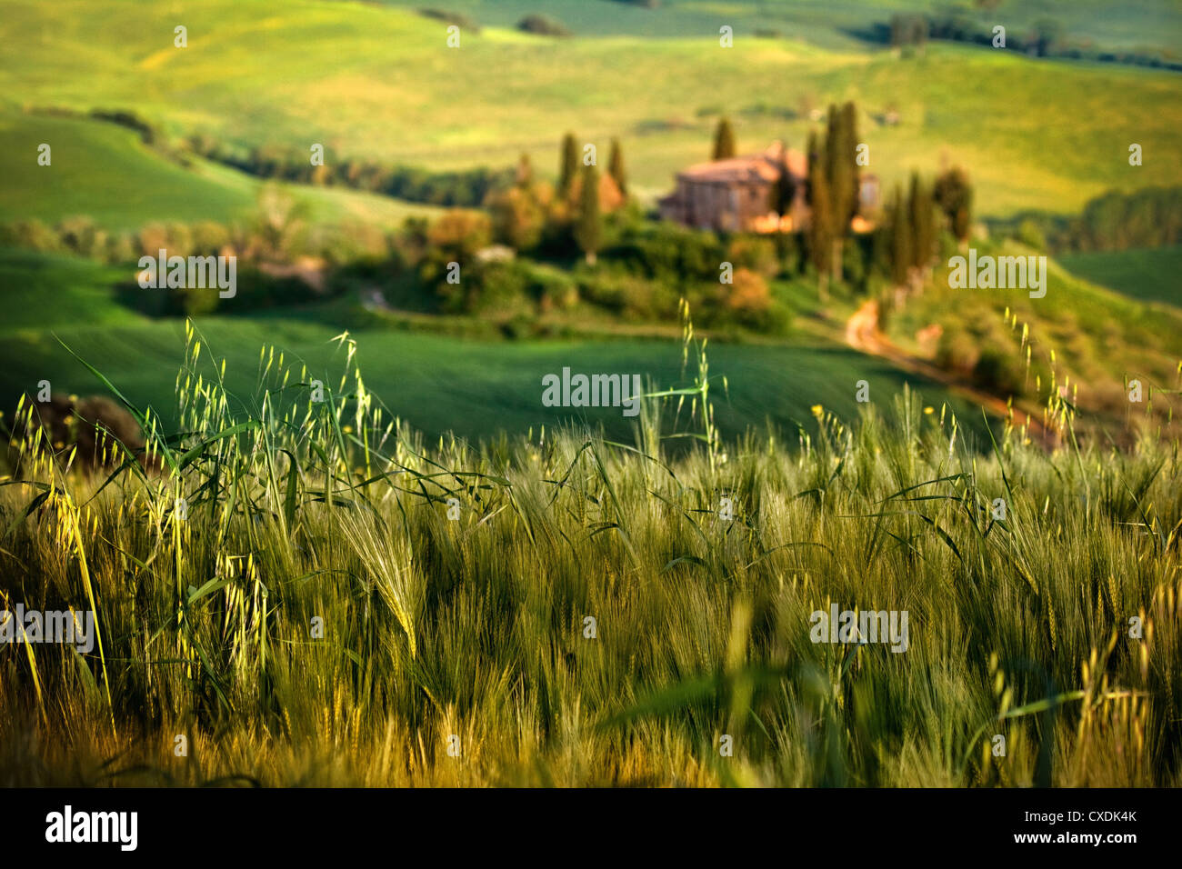 Belvedere farm house hi-res stock photography and images - Alamy
