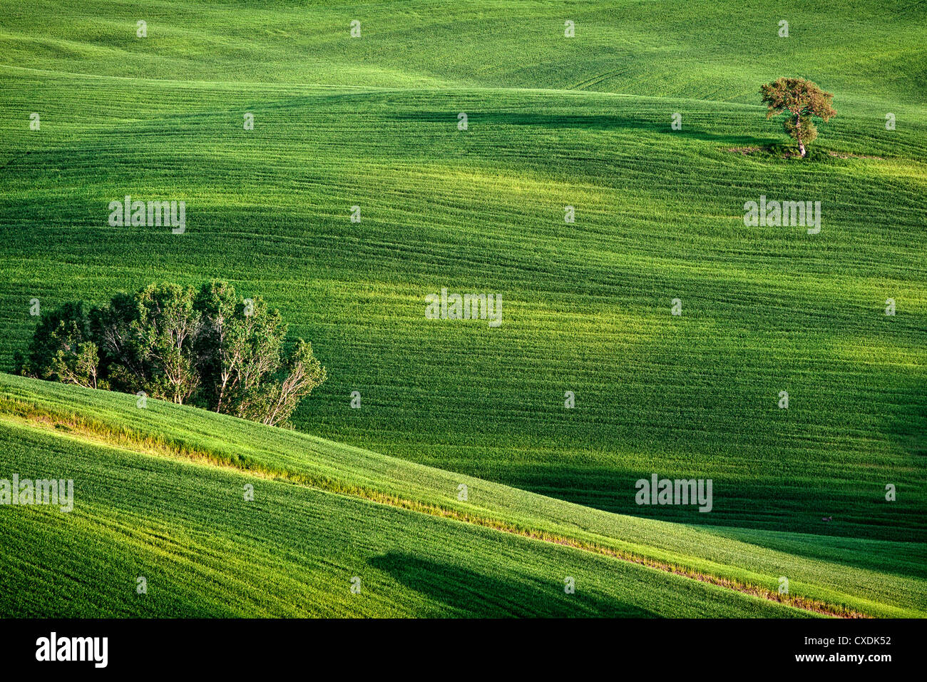 View beautiful typical green hilly hi-res stock photography and images ...