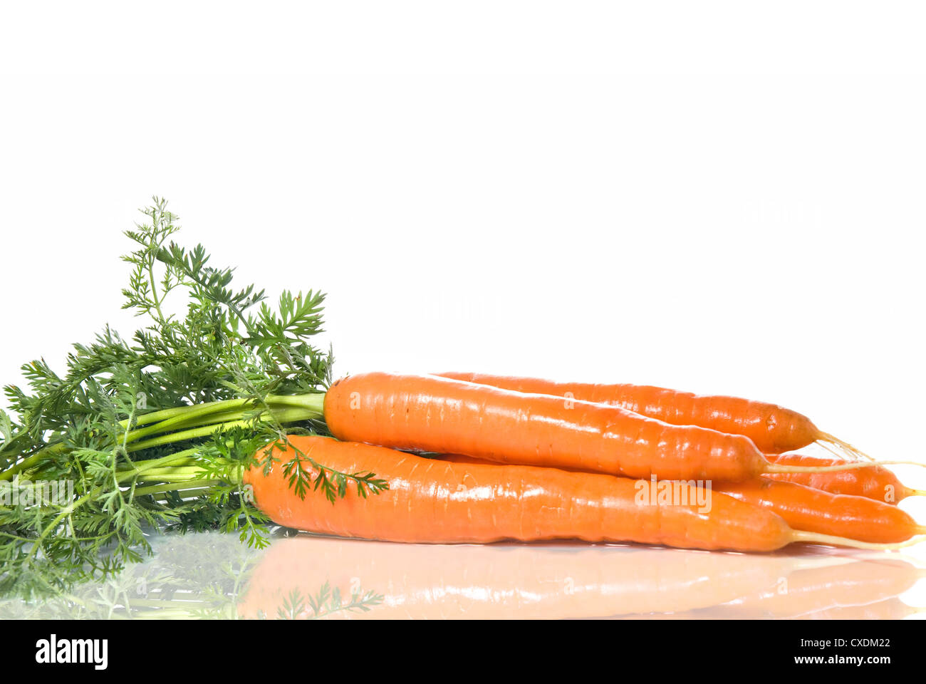 Carrot Leaves Stock Photos & Carrot Leaves Stock Images - Alamy