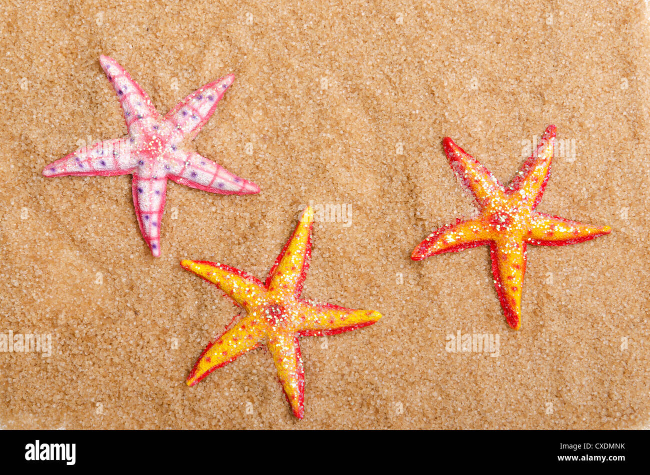Sea stars on the sand Stock Photo - Alamy