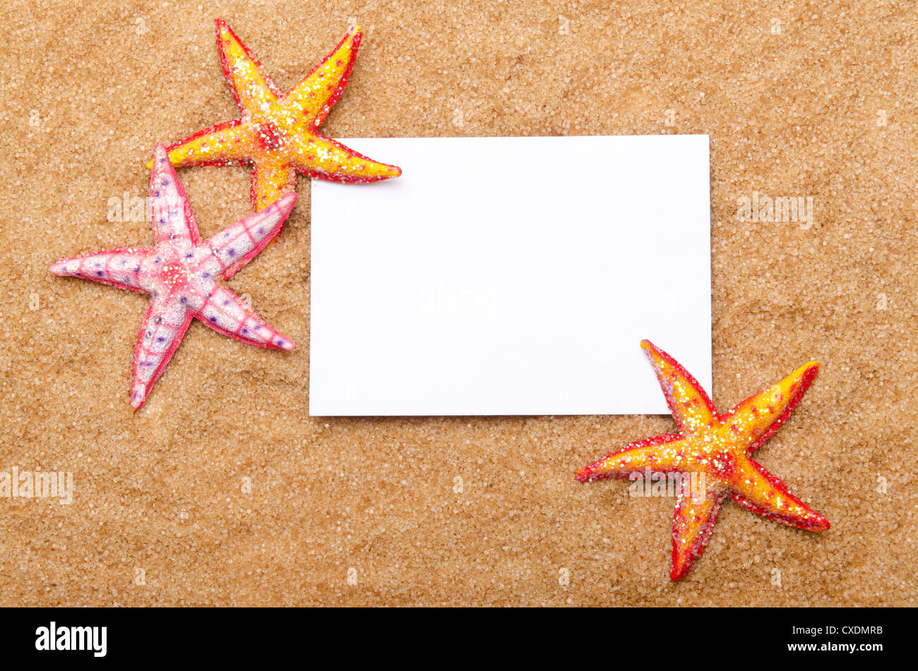 Sea stars isolated on the white Stock Photo - Alamy