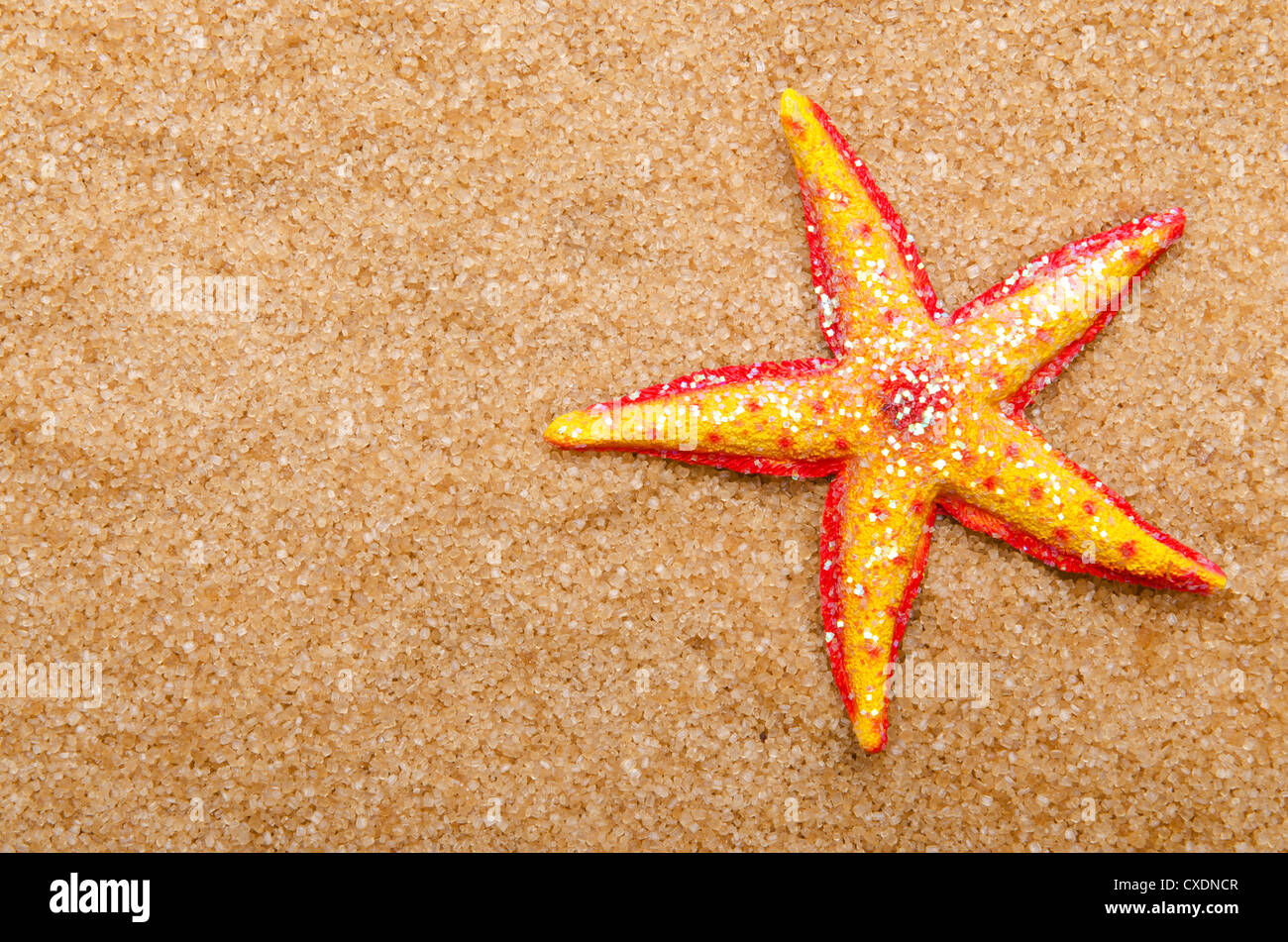 Sea stars on the sand Stock Photo - Alamy