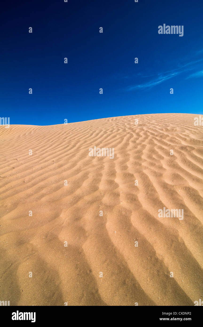 Kyzyl kum desert uzbekistan hi-res stock photography and images - Alamy