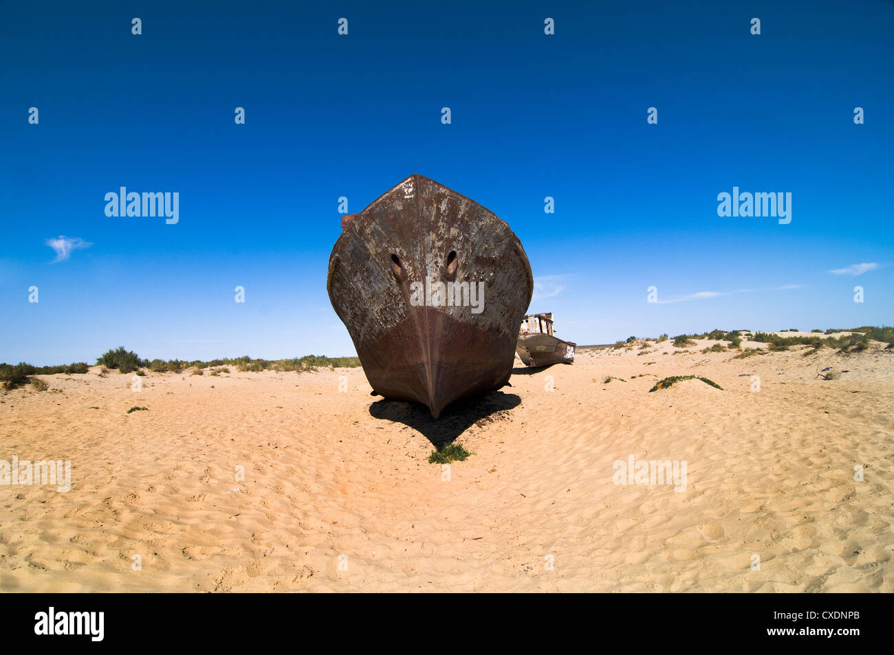 Rusty boats lay still on the dry desert sea bed of the dried Aral sea ...